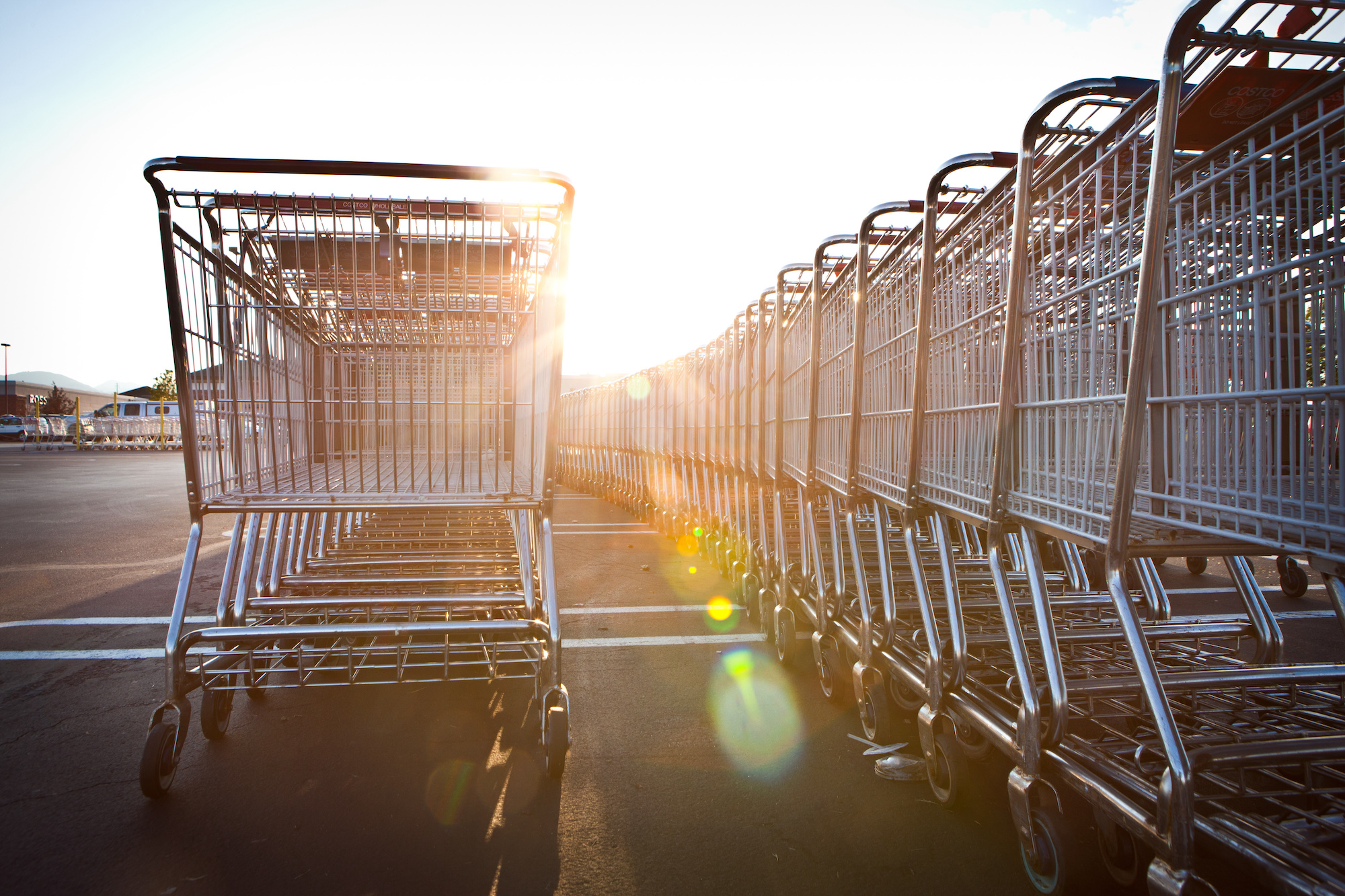 Shopping Carts: These Features Improve Portability - Good L Corp